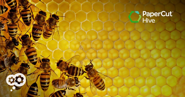 The Buzz Behind Papercut Hive: Cloud-driven Print Management